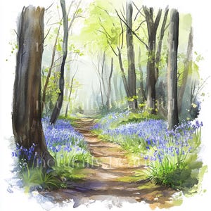 12 X Bluebell Woods Clipart Bundle - High Quality Jpgs - Spring ...