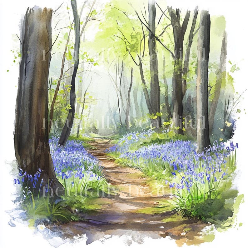 12 X Bluebell Woods Clipart Bundle - High Quality Jpgs - Spring ...