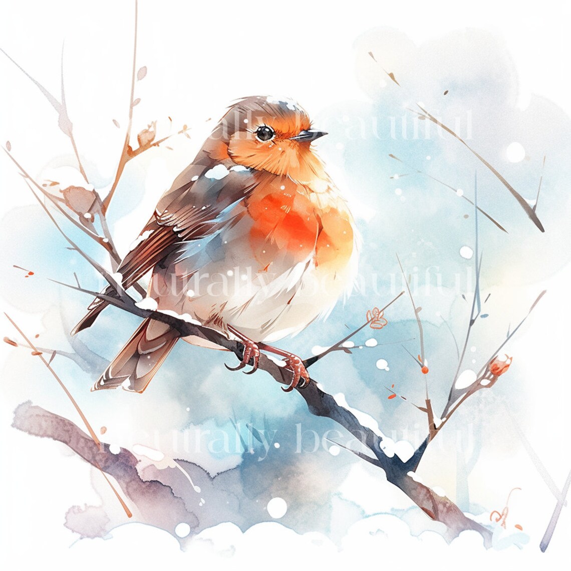 Cute Cartoon Snowy Robin Watercolour Clipart - 12 High Quality ...