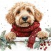 12 X Labradoodle Dogs at Christmas Clipart Bundle - High Quality Jpgs ...