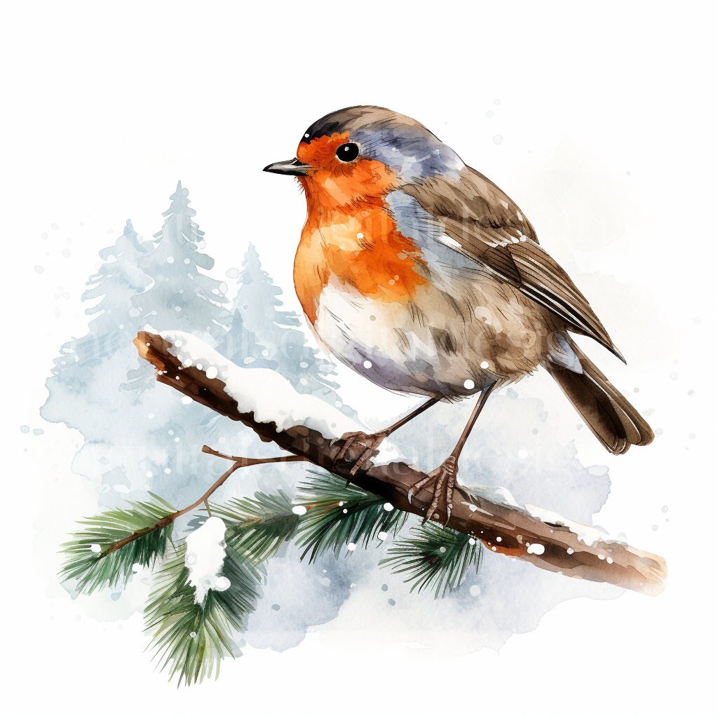 Snowy Winter Robin Watercolour Clipart - 10 High Quality Downloadable ...