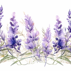 20 X Lavender Borders & Edges Downloadable Clipart - Floral Frame ...