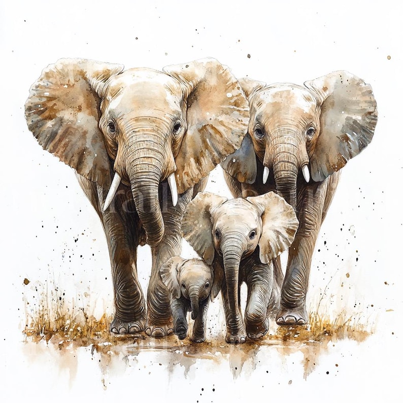 10 X Family of Elephants Clipart - High Quality JPG Bundle - Baby ...