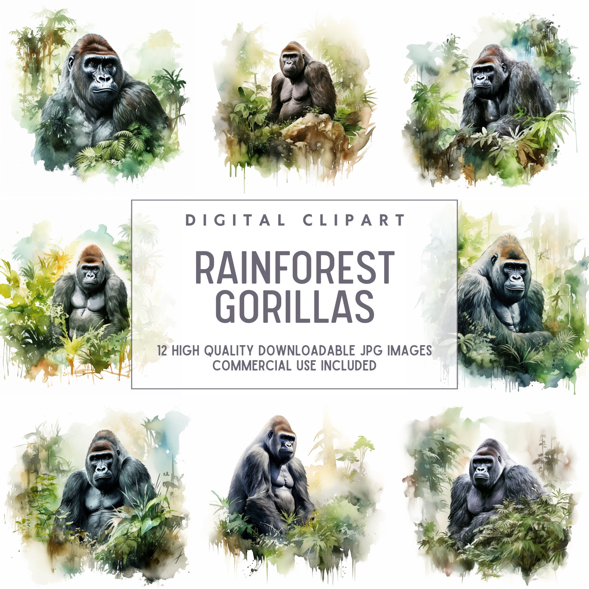 Rainforest Gorillas - 12 High Quality Downloadable Jpgs - Animal ...