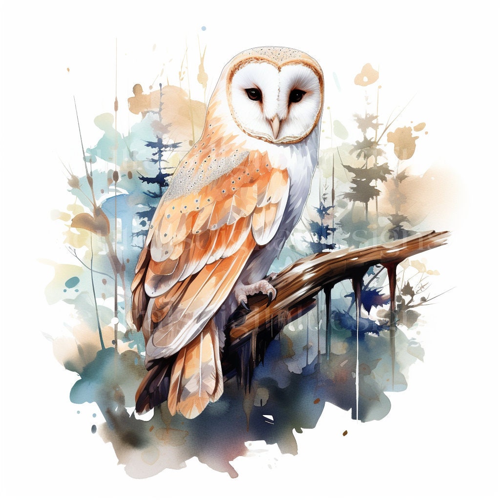 Woodland Owls Watercolour Clipart - 10 High Quality Downloadable Jpgs ...