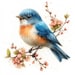 12 X Spring Bluebirds Clipart - High Quality JPG Bundle - Wild Birds ...