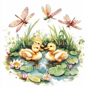 10 X Pretty Duckponds Clipart Bundle - High Quality Jpgs - Spring ...