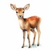 Individual Reindeer Clipart Images - 10 High Quality Downloadable Deer ...