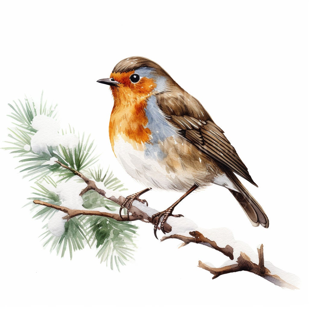 Snowy Winter Robin Watercolour Clipart - 10 High Quality Downloadable ...
