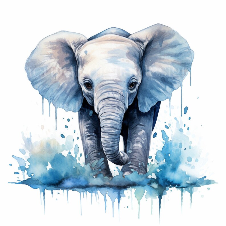 Elephant Watercolour Clipart - 14 High Quality Downloadable Jpgs ...