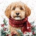 12 X Labradoodle Dogs at Christmas Clipart Bundle - High Quality Jpgs ...