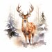 Reindeer Woodland Watercolour Clipart - 10 High Quality Downloadable ...