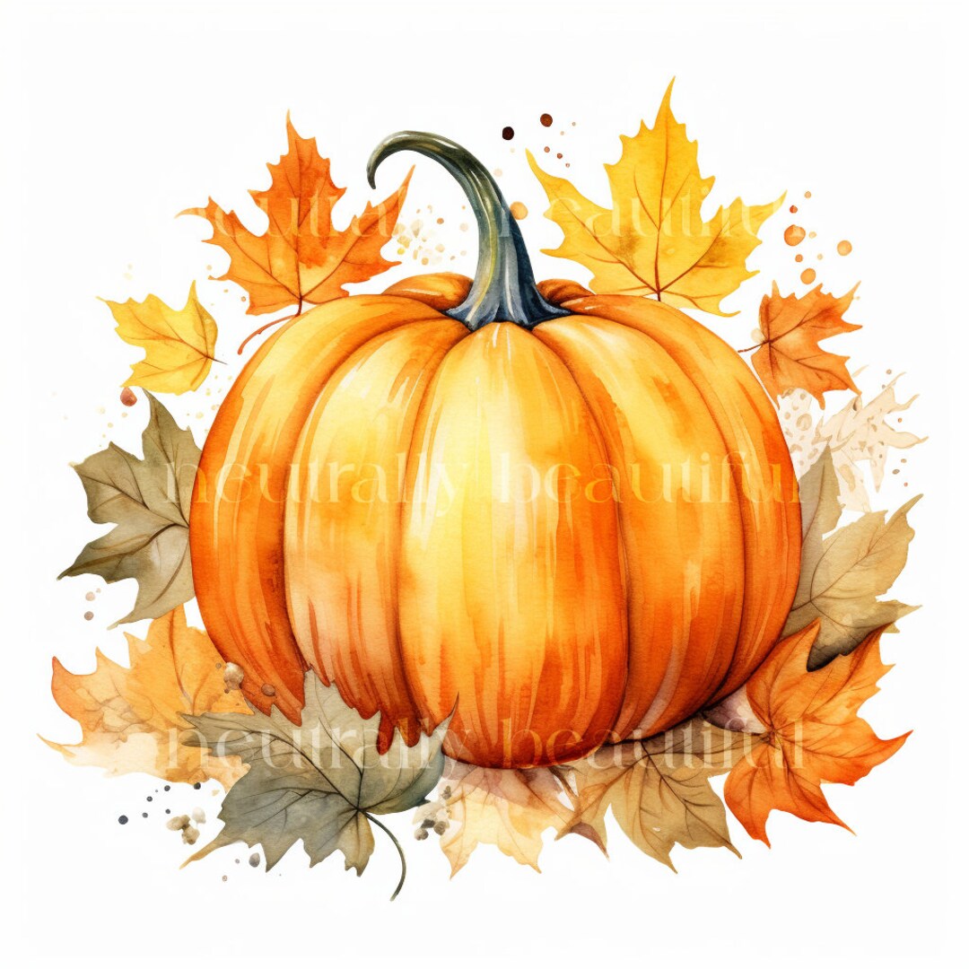 Autumn/fall Pumpkins - 12 High Quality Downloadable Jpgs - Flower ...
