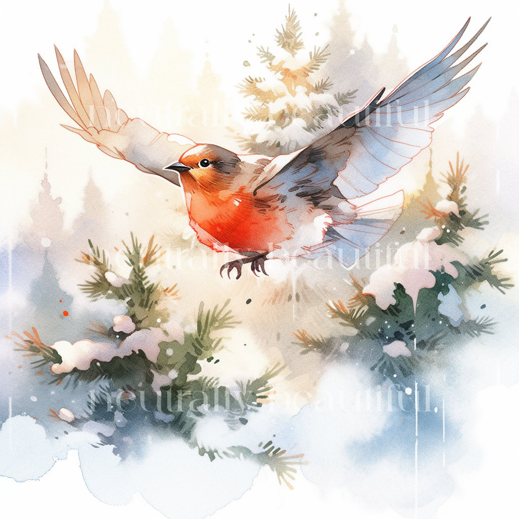 Cute Cartoon Snowy Robin Watercolour Clipart - 12 High Quality ...