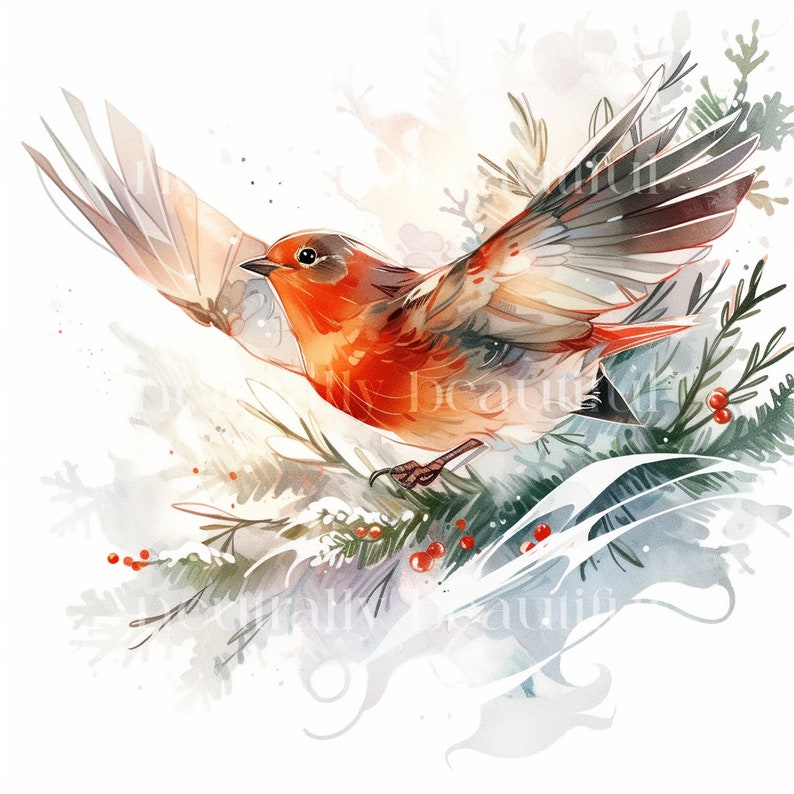 Cute Cartoon Snowy Robin Watercolour Clipart - 12 High Quality ...