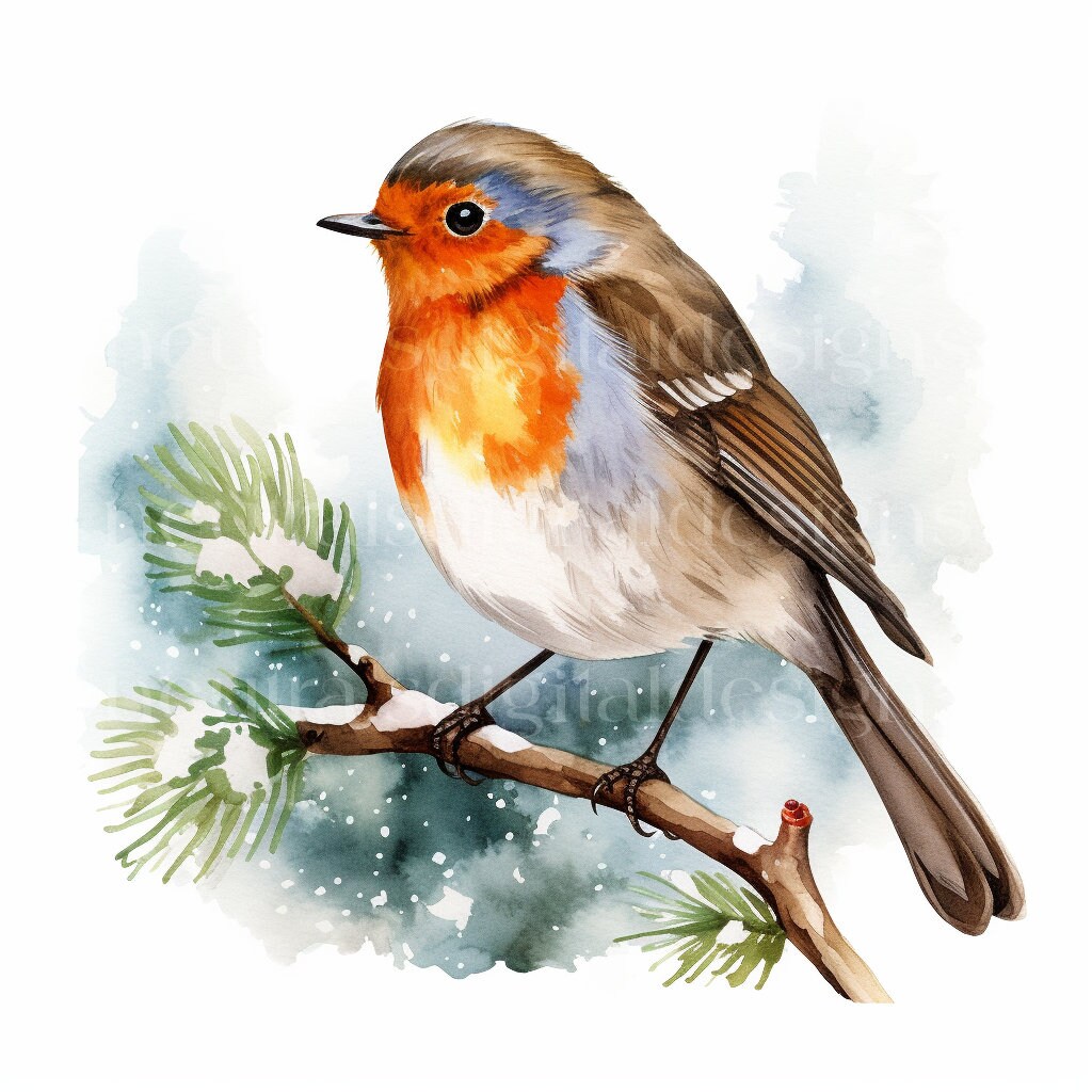 Snowy Winter Robin Watercolour Clipart - 10 High Quality Downloadable ...