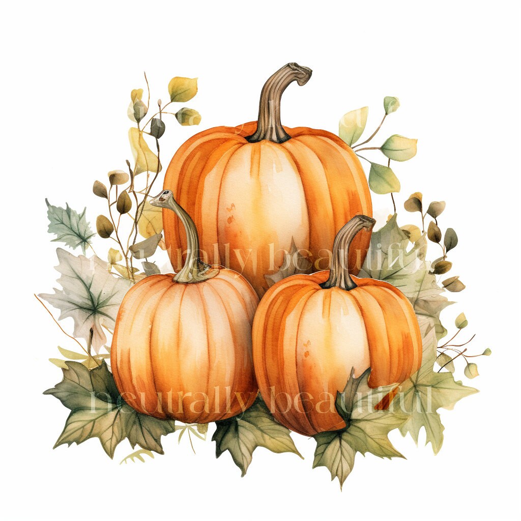 Autumn/fall Pumpkins - 12 High Quality Downloadable Jpgs - Flower ...
