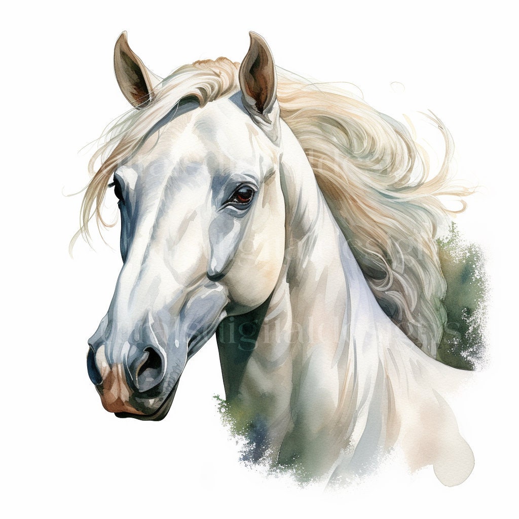 Horse Portrait Clipart - 12 High Quality Downloadable Jpgs - Printable ...