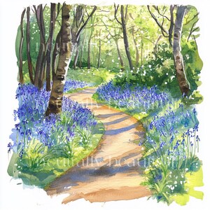 12 X Bluebell Woods Clipart Bundle - High Quality Jpgs - Spring ...