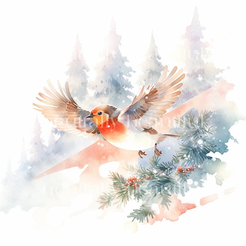 Cute Cartoon Snowy Robin Watercolour Clipart - 12 High Quality ...