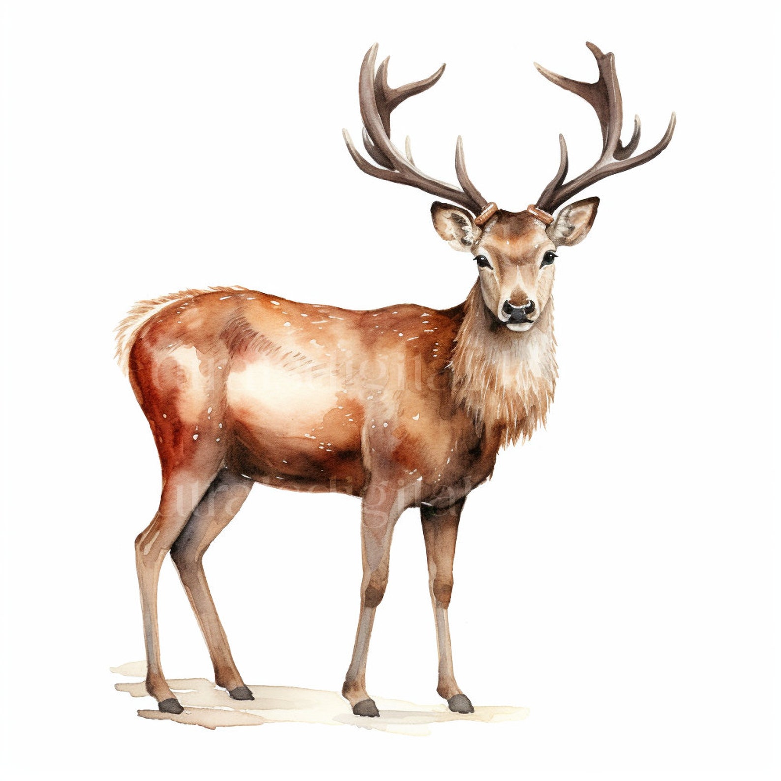 Individual Reindeer Clipart Images - 10 High Quality Downloadable Deer ...