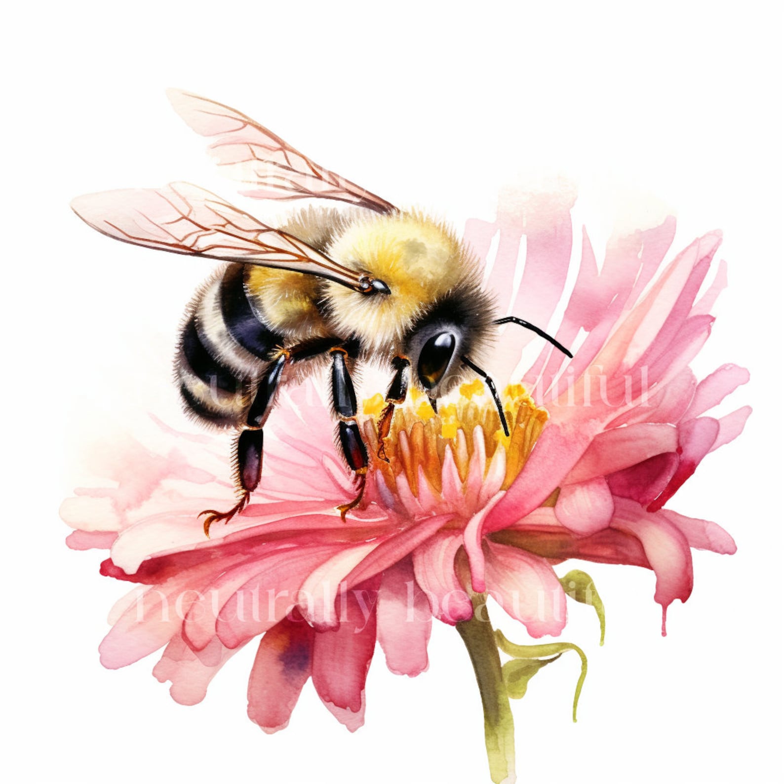 10 Watercolour Bee Clipart - Bees on Flowers, High Quality JPG ...