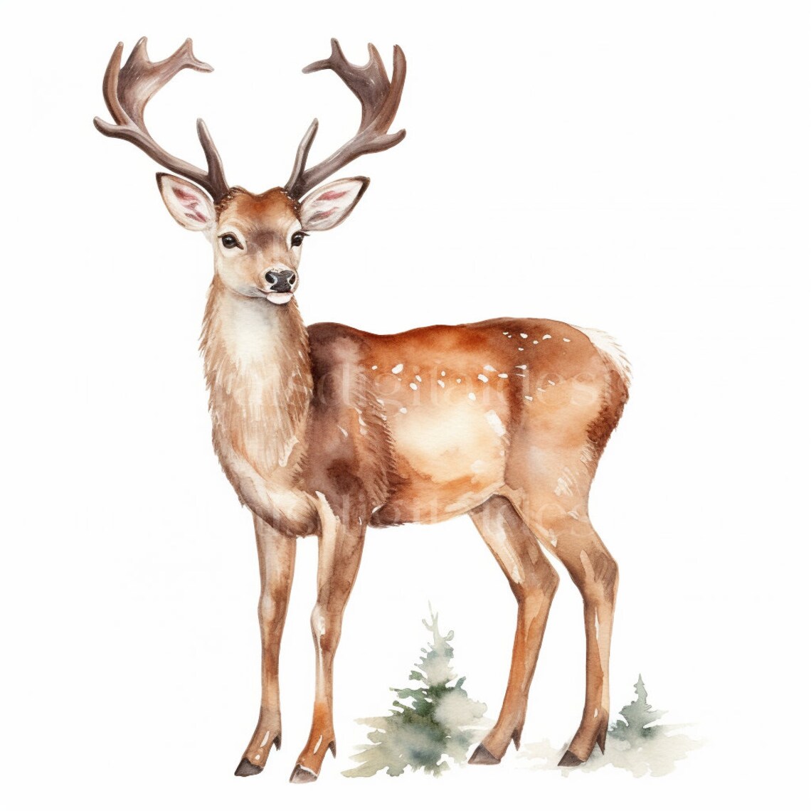 Individual Reindeer Clipart Images - 10 High Quality Downloadable Deer ...