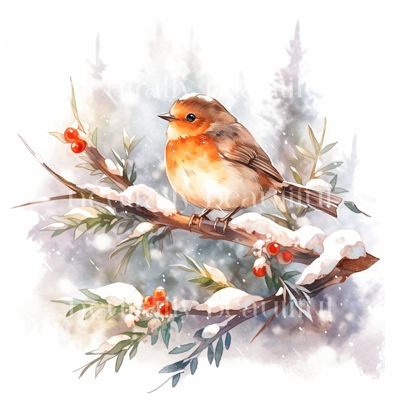Cute Cartoon Snowy Robin Watercolour Clipart - 12 High Quality ...