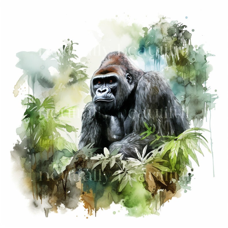 Rainforest Gorillas - 12 High Quality Downloadable Jpgs - Animal ...