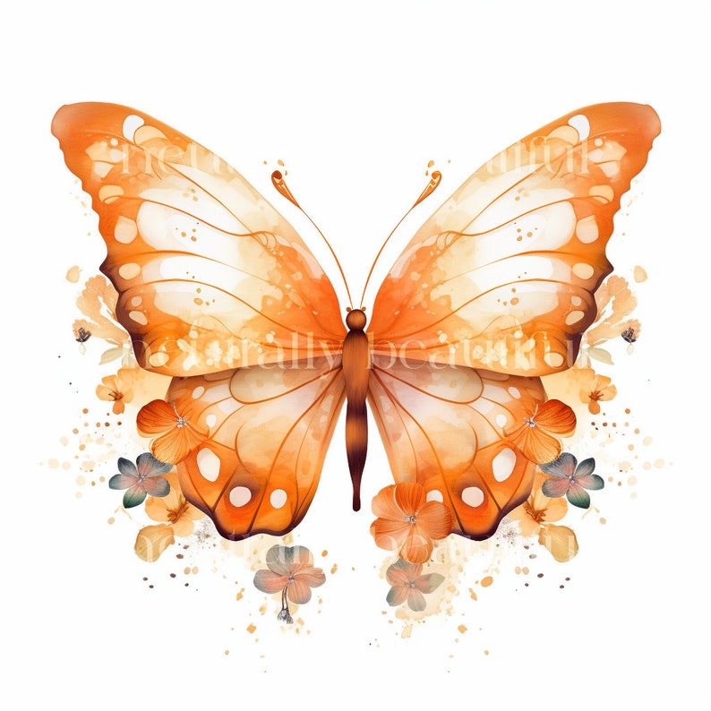 Pretty Orange Watercolour Butterfly Downloadable Clipart - 12 Jpgs ...