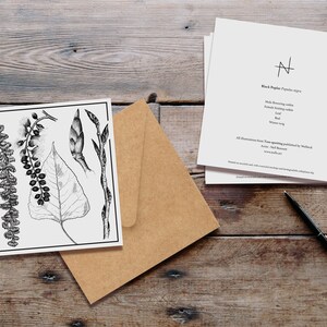 Four Botanical Illustration Greeting Cards, Tree Drawings Blank Set of ...