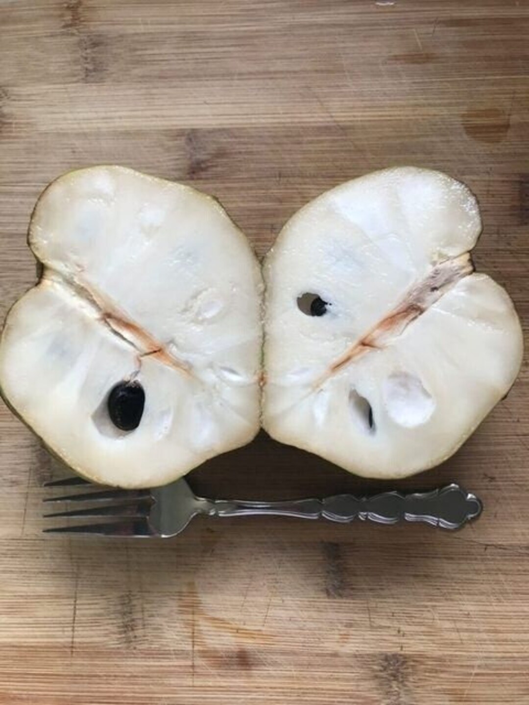 GRAFTED 'dr White' Cherimoya Tree Very Large Fruit, Ceamy & Delicious ...