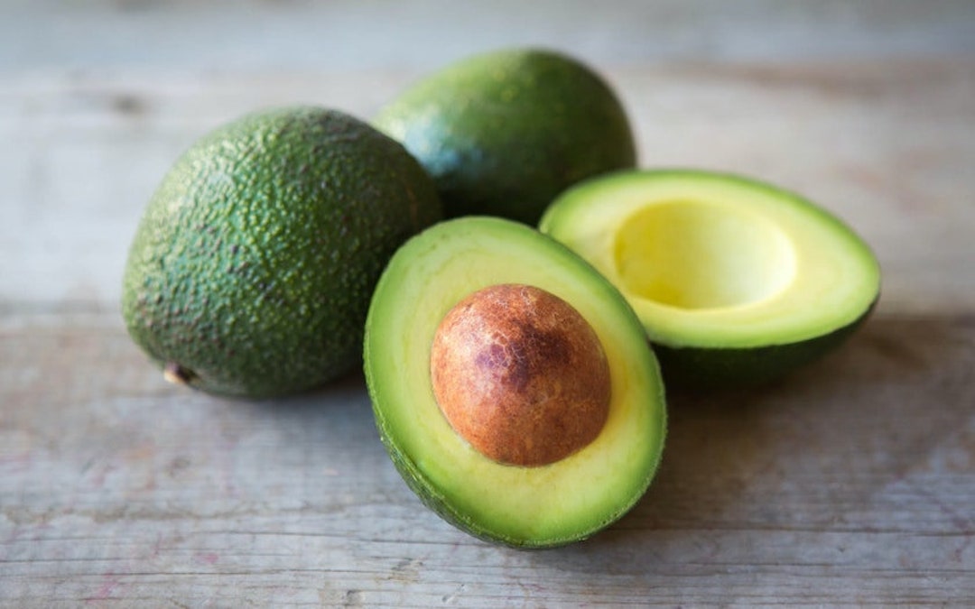 RARE Grafted 'gwen' Avocado Tree - Daughter of Hass, Larger Fruit - Etsy