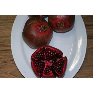 Kara Gul Pomegranate Fruit Tree - Darkest Arils, Almost Black Color ...