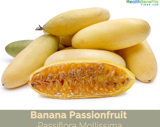 Rare Passion Fruit Cultivar 'ava' - Amazing Yellow Fruit and Pink ...