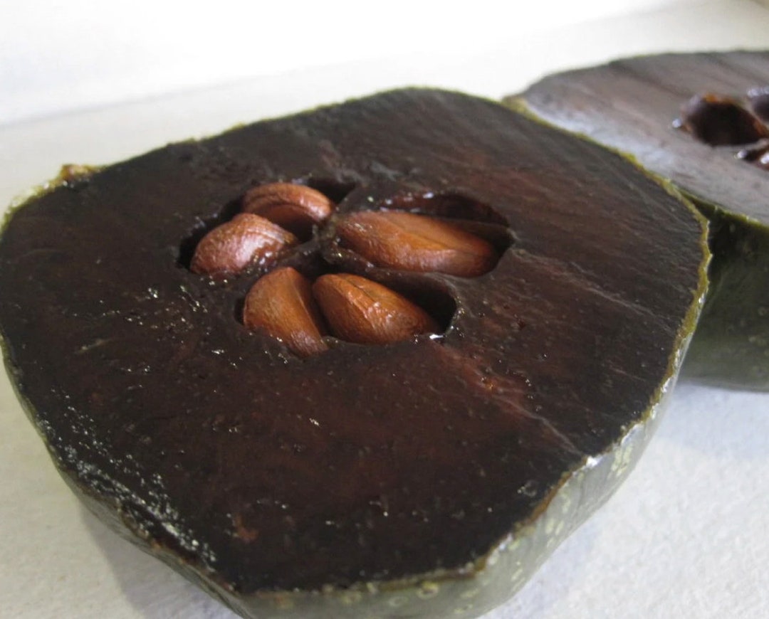 Black Sapote Tree 7-8 Year Old and Fruiting Age - Very Large, Tall ...