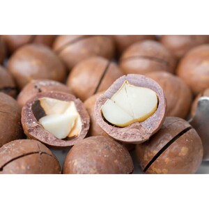 Macadamia Nut Tree - 'cate' Seedling (very Rich, Buttery Flavor) - Etsy