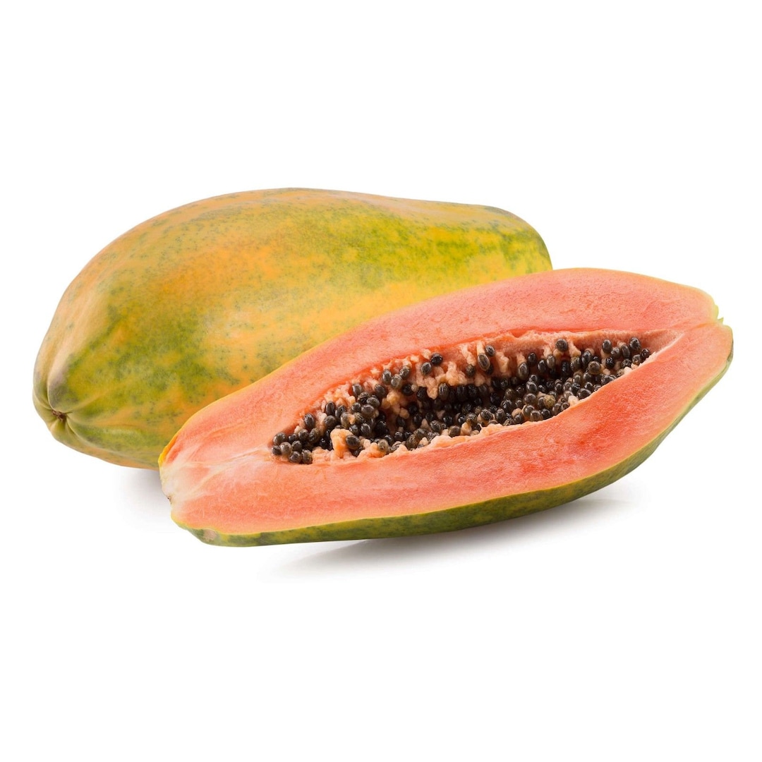 Mexican Papaya Fruit Tree Delicious, Reliable Papaya Variety - Etsy