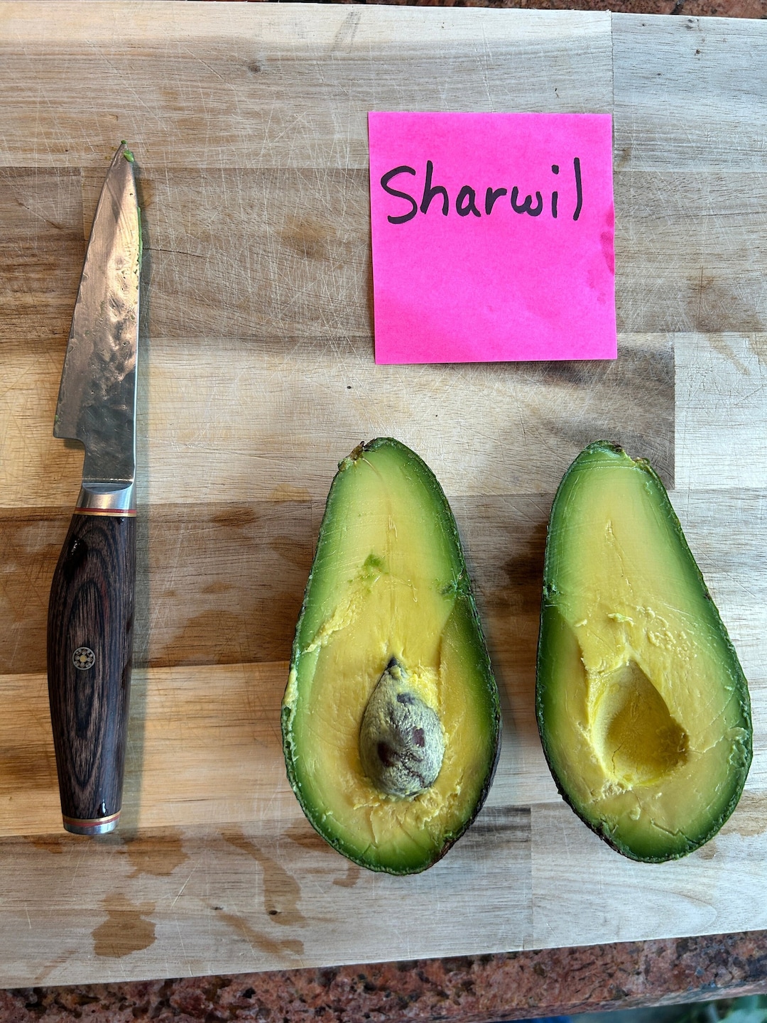 Tall Grafted 'sharwil' Avocado Fruit Tree Best Tasting Avocado in the ...