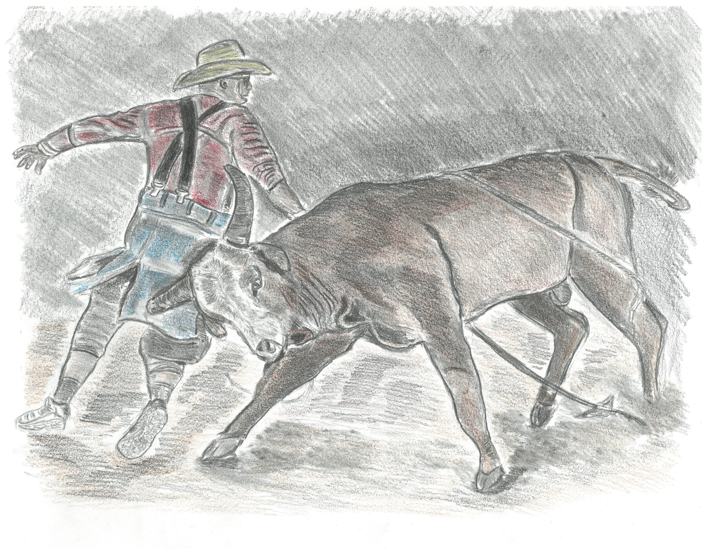 Bullfighter Drawing