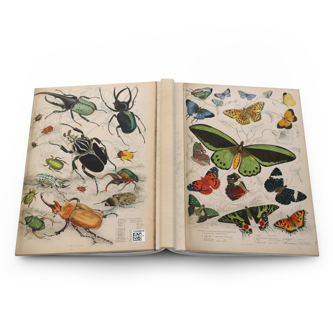 Butterfly Lover Hardcover Journal Insect Notebook Nature Lover Diary ...