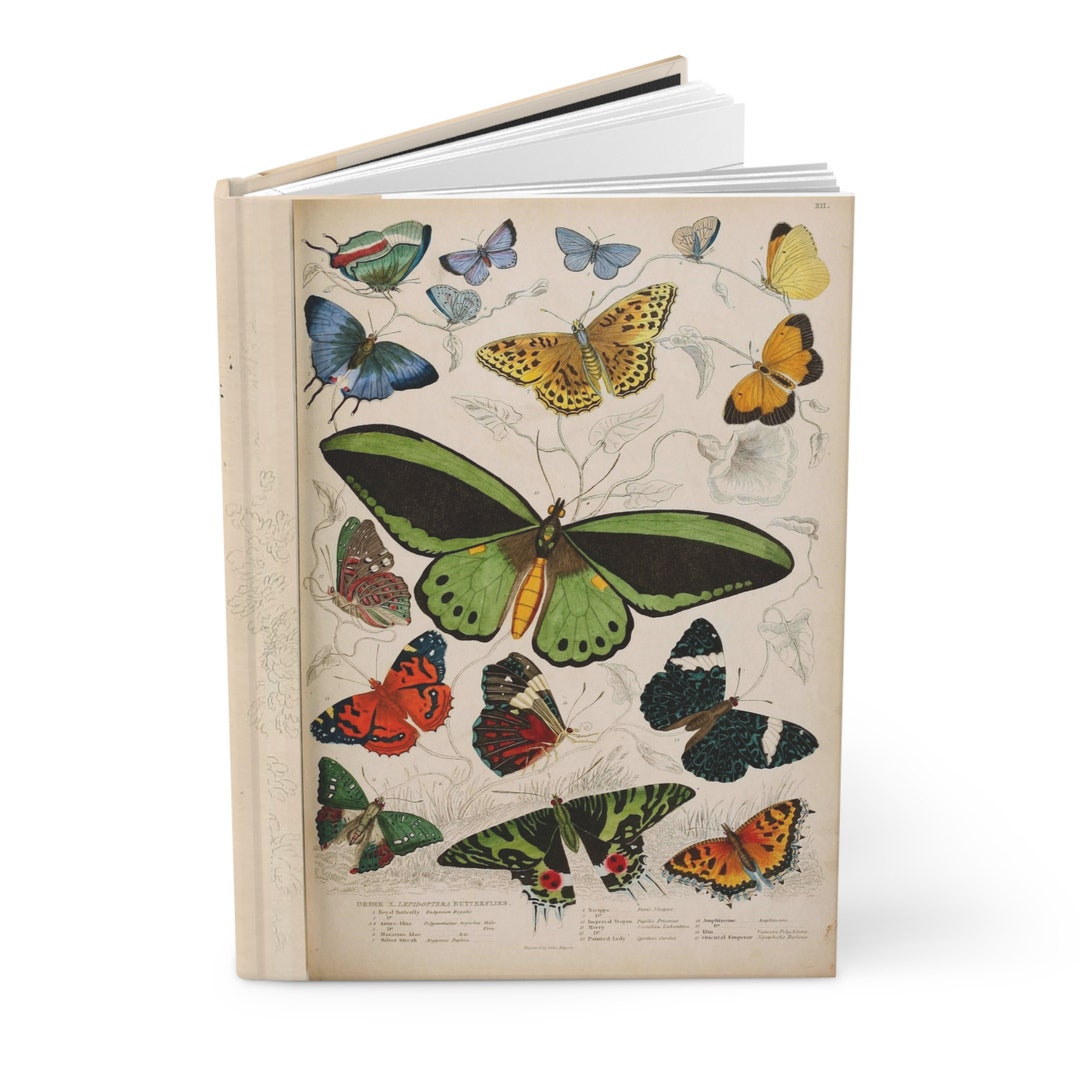 Butterfly Lover Hardcover Journal Insect Notebook Nature Lover Diary ...