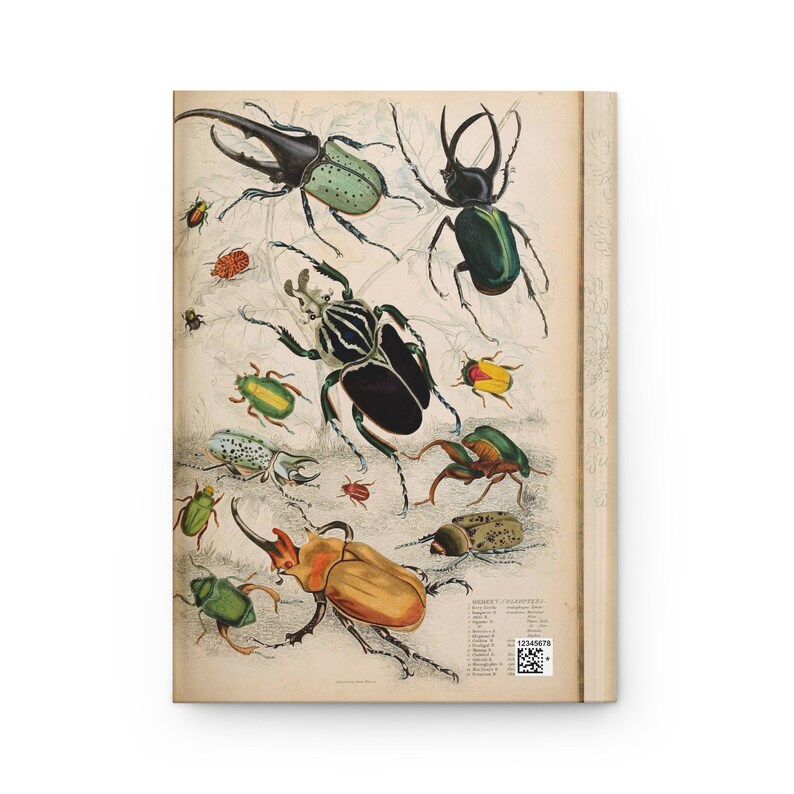 Butterfly Lover Hardcover Journal Insect Notebook Nature Lover Diary ...
