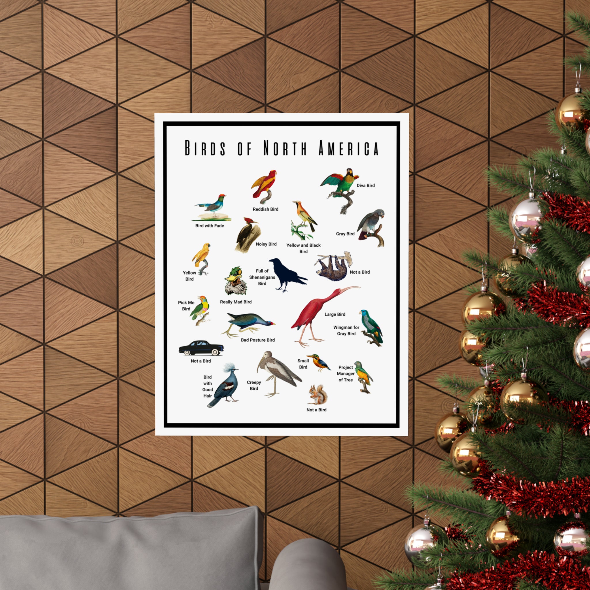 Funny Birding Matte Poster Birding Pictures Colorful Funny Birds Art ...