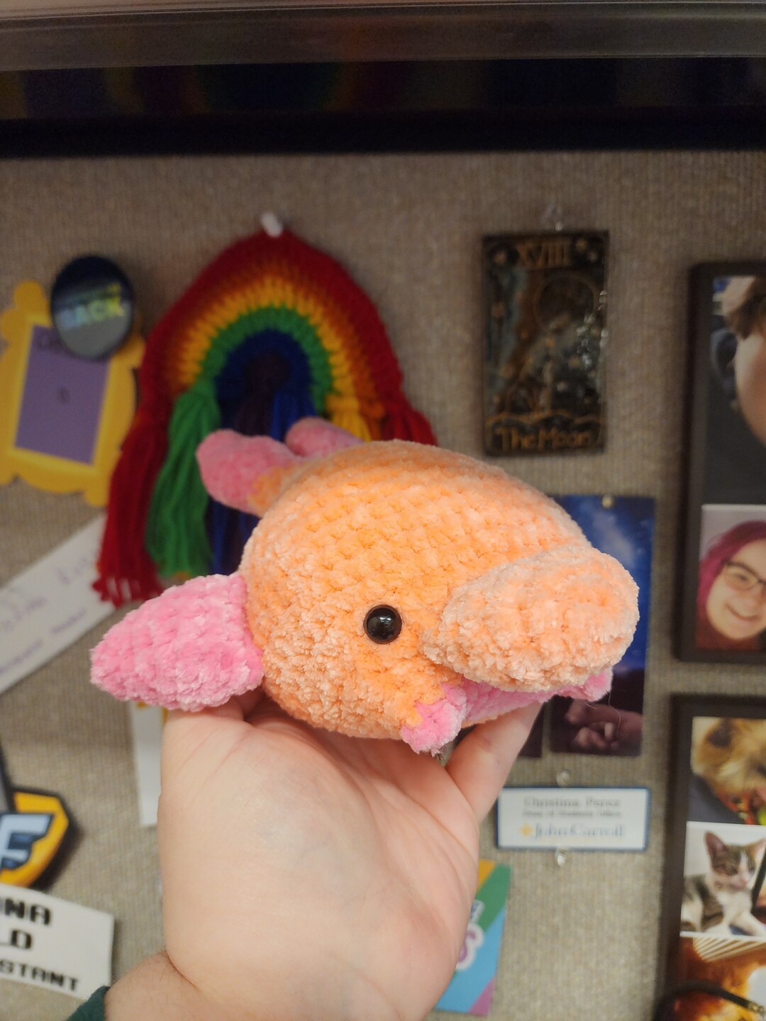 Crochet Blobfish Plushie - Etsy