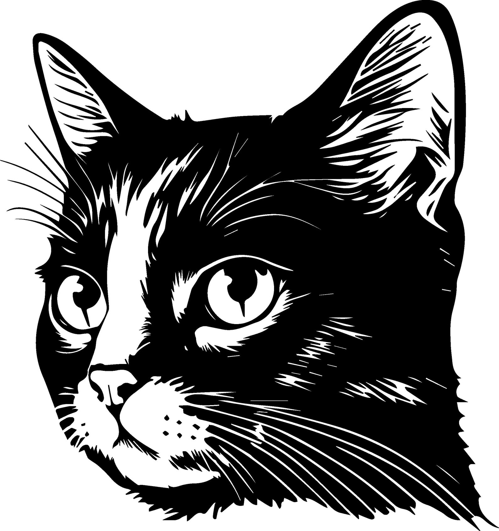 Customizable Cat SVG File for Crafts and DIY Projects - Etsy
