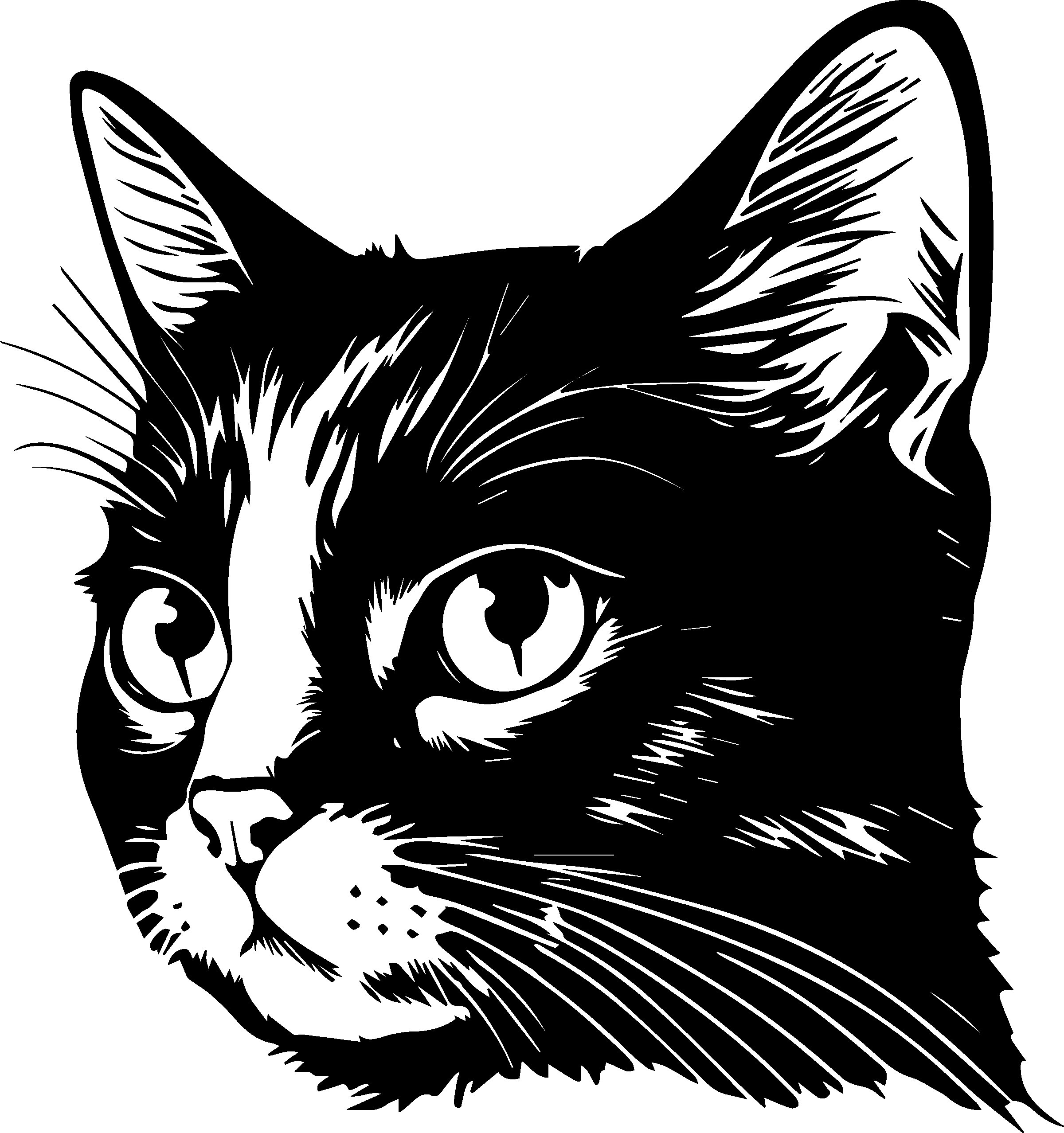 Customizable Cat SVG File for Crafts and DIY Projects - Etsy