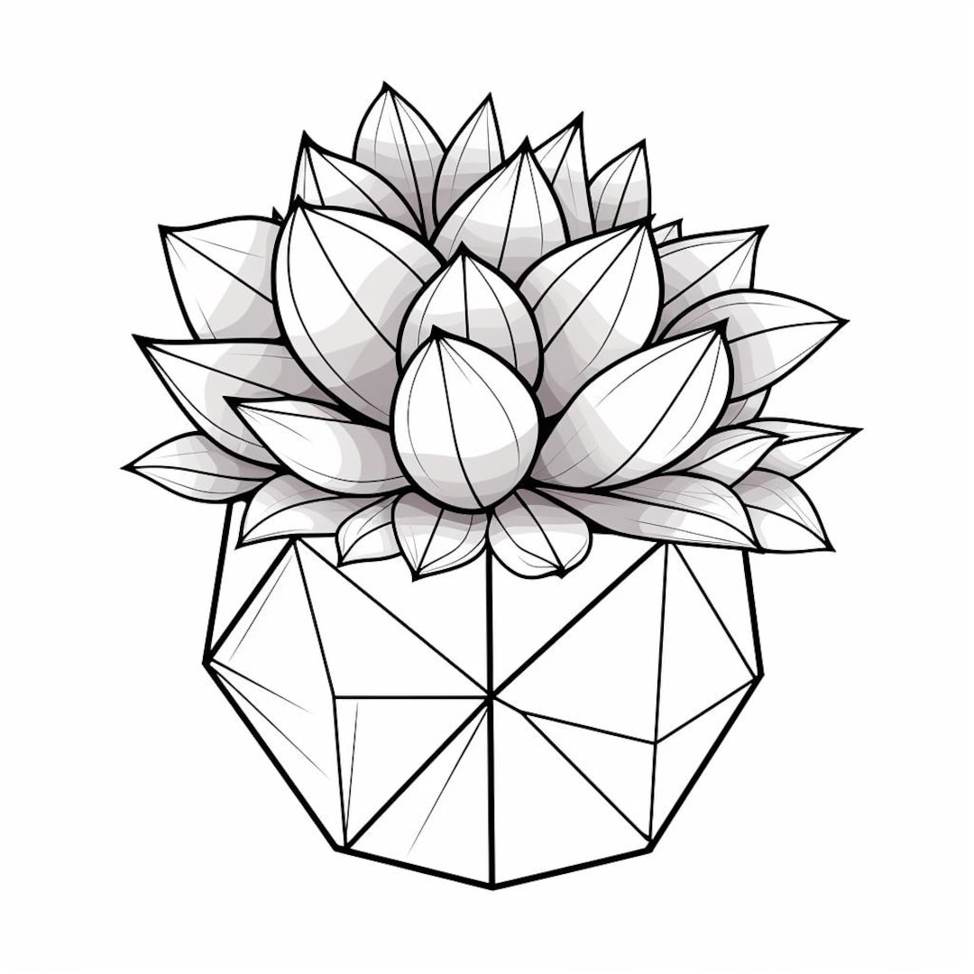 Succulent Simple Vector Image, Black and White Outline Art, Potted ...