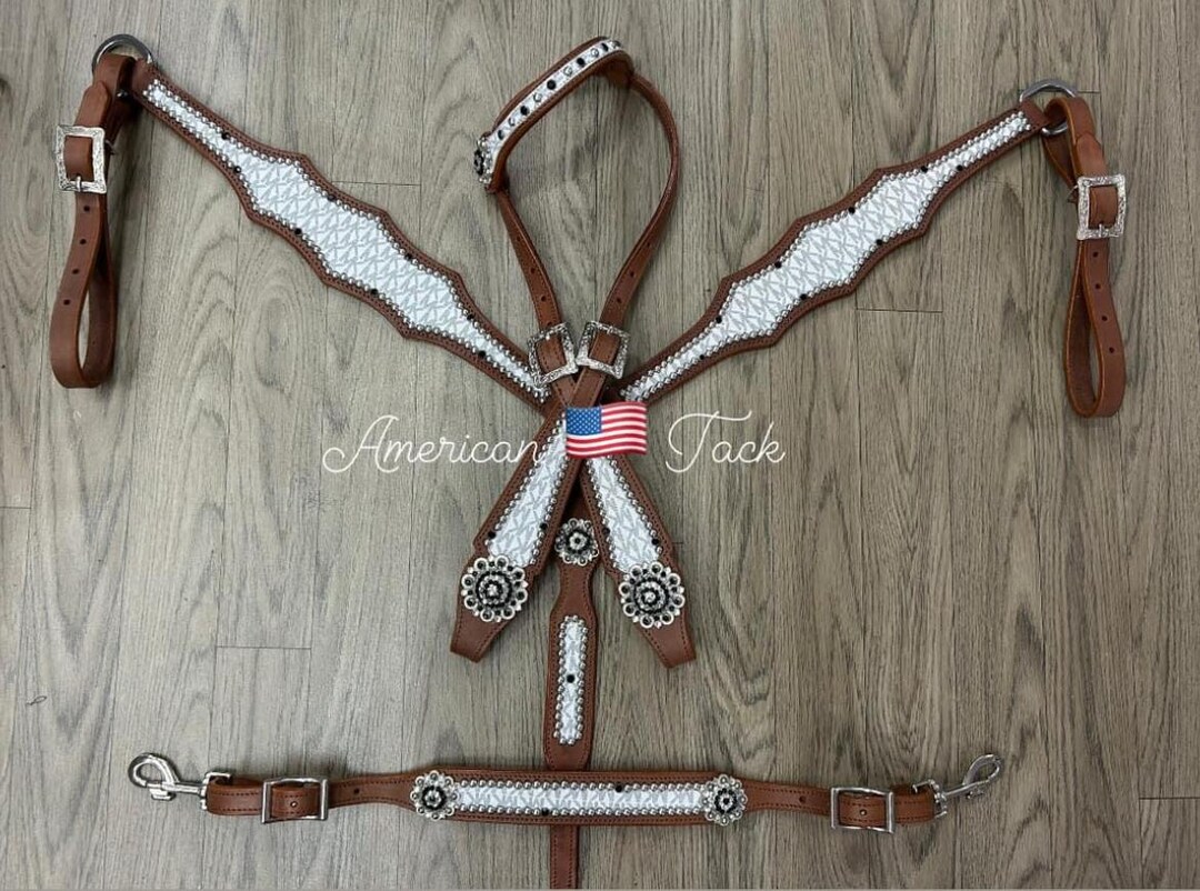 Western Bling Tack Set of Headstall and Breast Collar With Fringes and ...