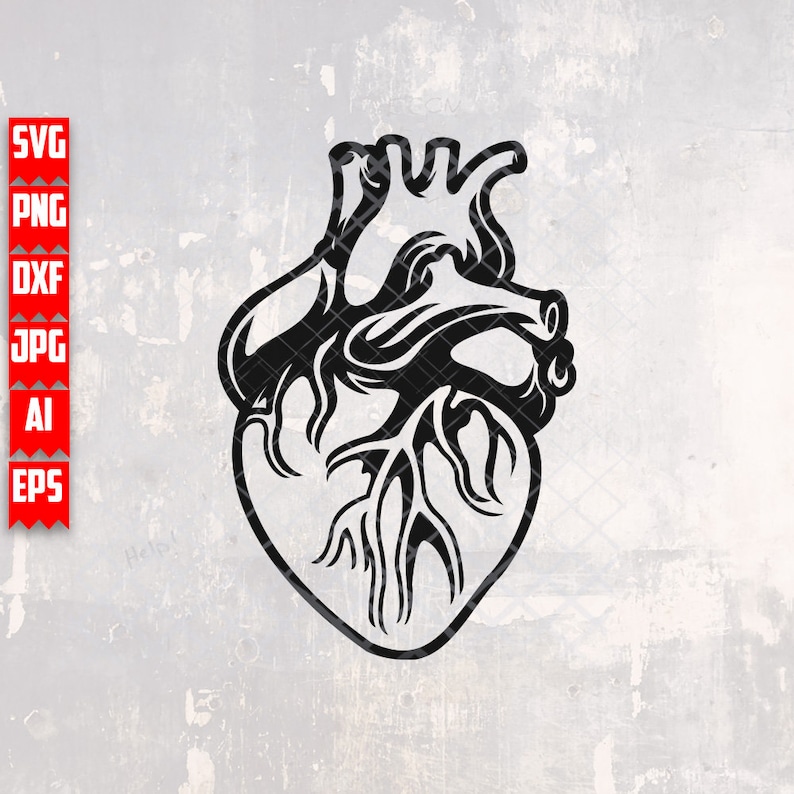 Heart Svg | Internal Organ Clipart | Human Cutfile | Heartbeat Stencil ...